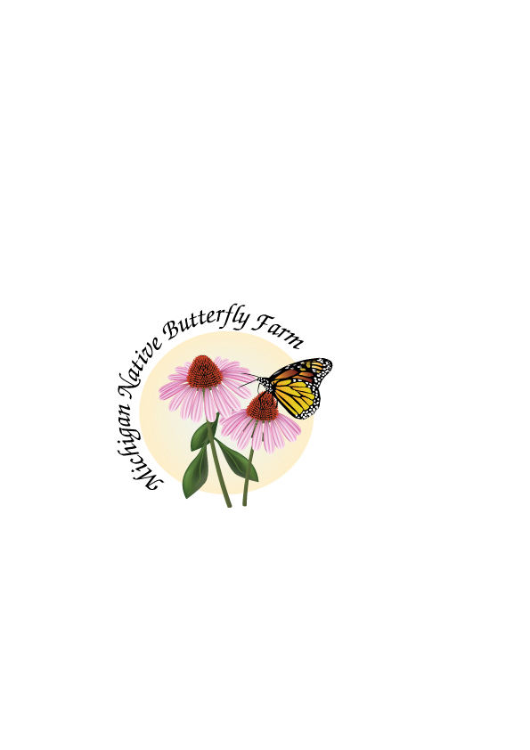 Michigan Native Butterfly Farm – Association for Butterflies